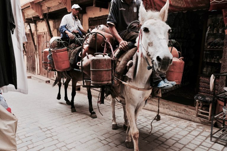 City Guide Fès فاس